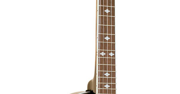 Gold Tone BG-Mini: Bluegrass Mini Banjo with Case