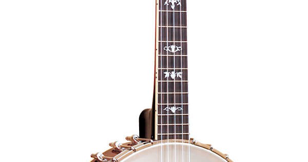 Gold Tone CEB-5: 5-String Cello Banjo